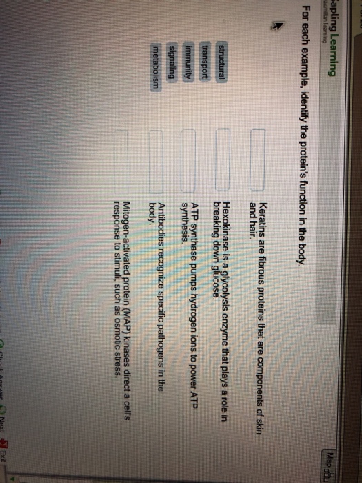 Solved apling Learning acmilan For each example, identify | Chegg.com Solved apling Learning acmilan For each example, identify | Chegg.com