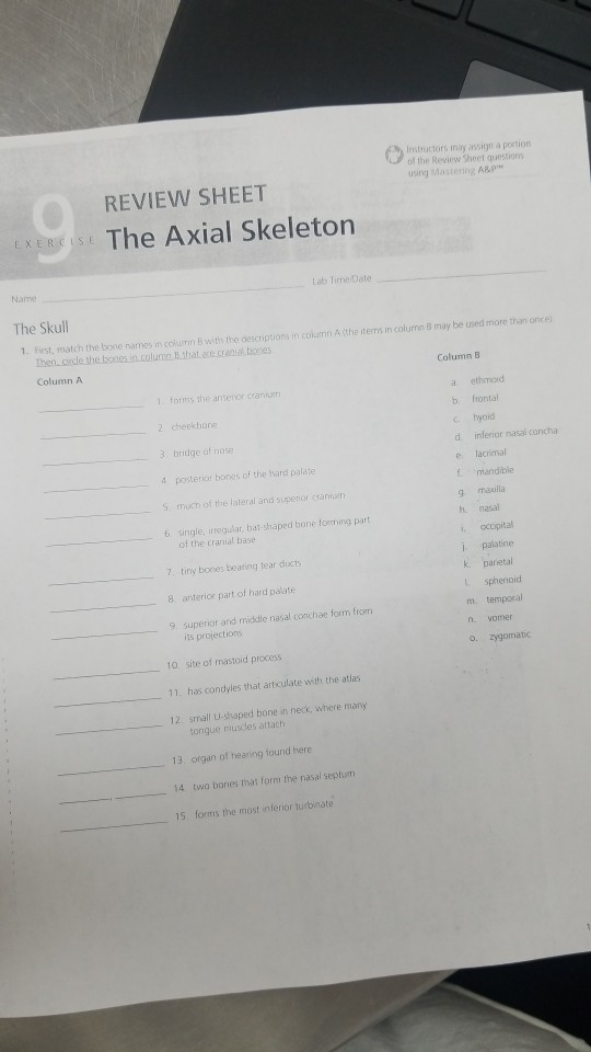 Solved Instructors in assign a portion of the Review Sheet | Chegg.com