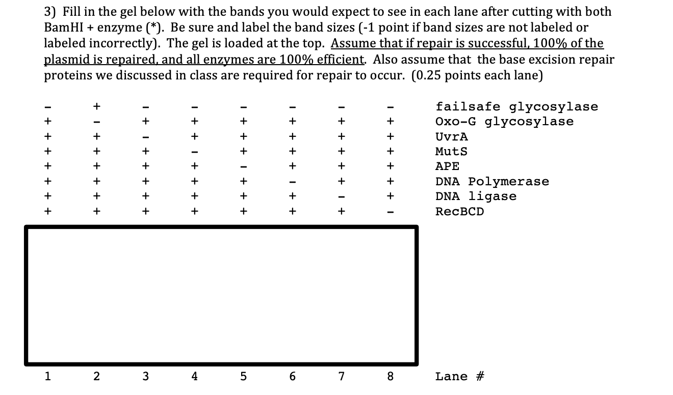 Solved Molecular Biology Worksheet: You are testing the | Chegg.com
