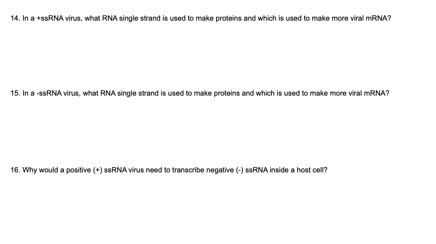 Solved 14. In a +ssRNA virus, what RNA single strand is used | Chegg.com