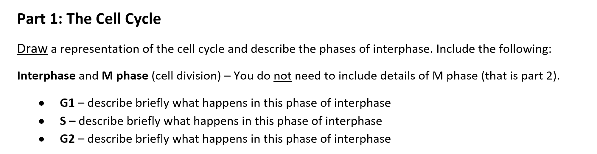 Interphase G1 Drawing