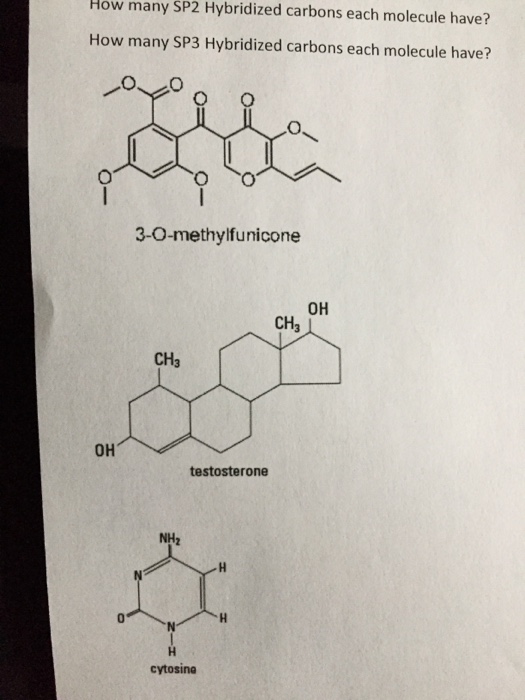 Solved How many SP2 Hybridized carbons each molecule have? | Chegg.com