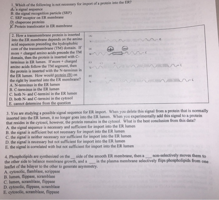 Solved 1, Which of the following is not necessary for import | Chegg.com