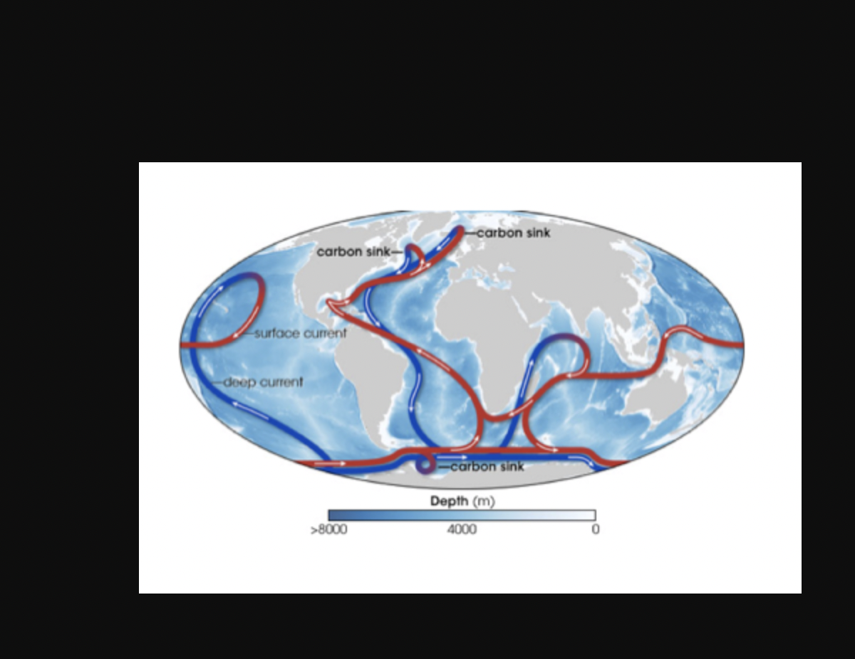 Solved 9. `Explain how a CO2 molecule that diffuses into the | Chegg.com