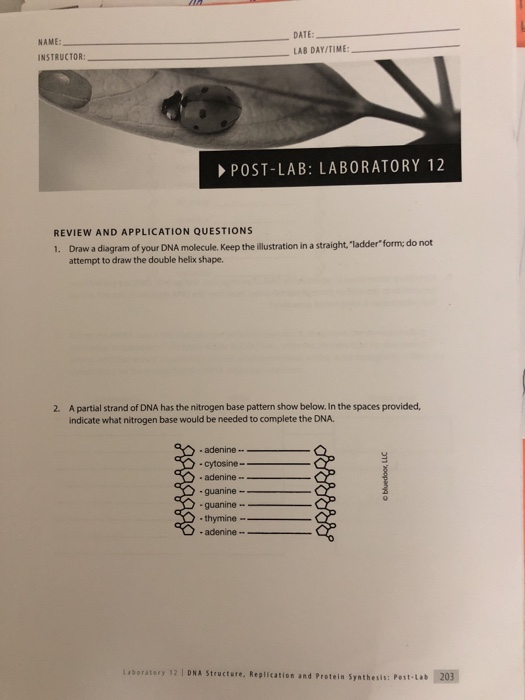 Solved College Chegg