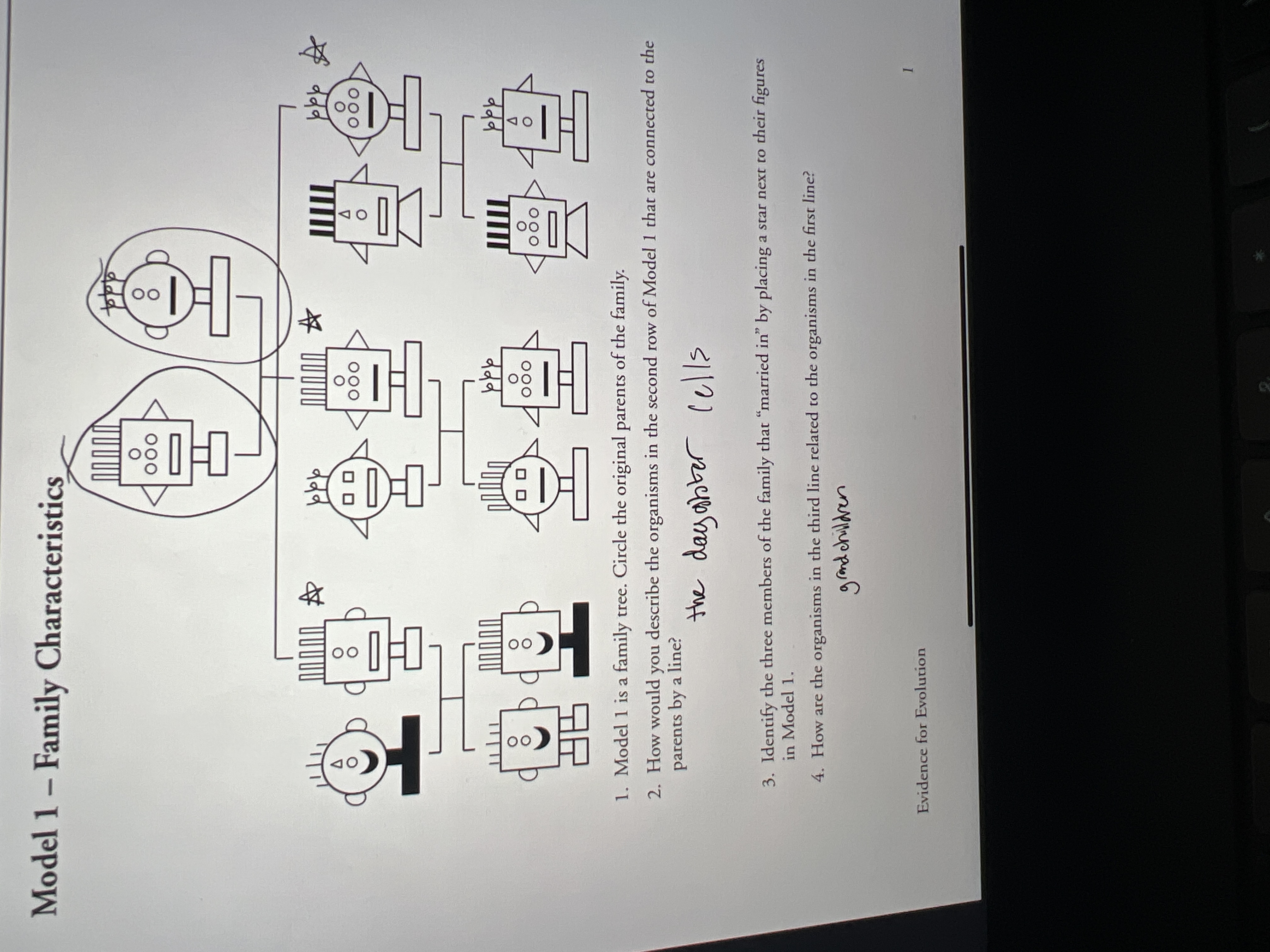 Solved Model 1 - ﻿Family CharacteristicsModel 1 ﻿is a family | Chegg.com