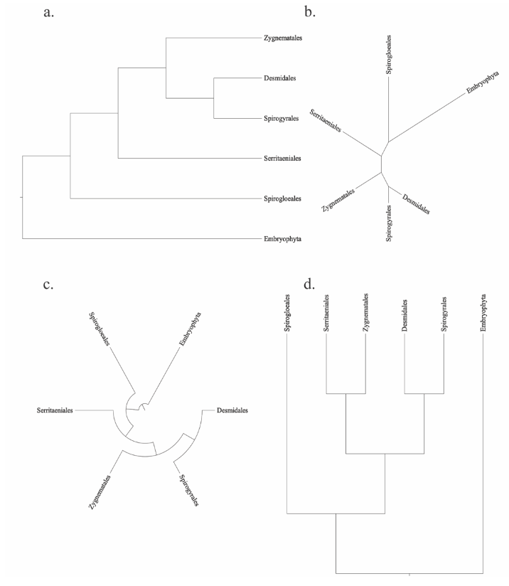Solved a. b. c. d. Above are phylogenetic trees for the | Chegg.com