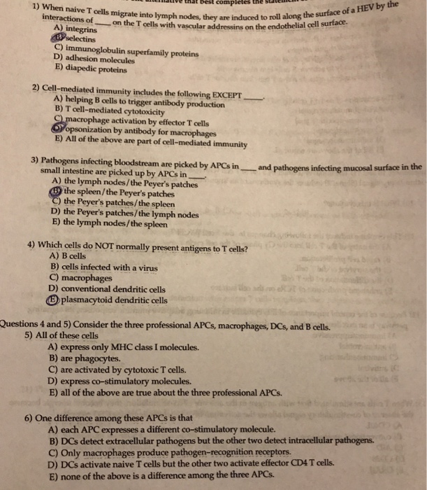 Solved ive tnat best completes the state HEV by the 1) When | Chegg.com