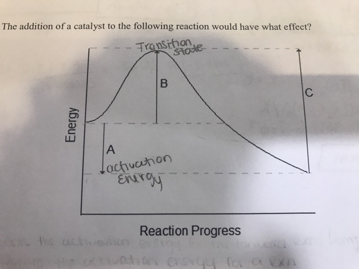 Solved The addition of a catalyst to the following reaction | Chegg.com