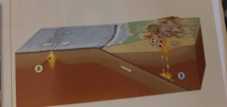 Solved different processes produce magma in different | Chegg.com