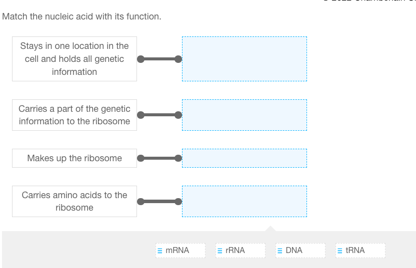 Solved Match the nucleic acid with its function. Carries a | Chegg.com