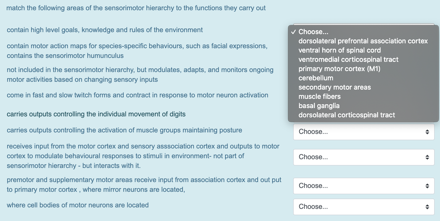 Solved match the following areas of the sensorimotor | Chegg.com