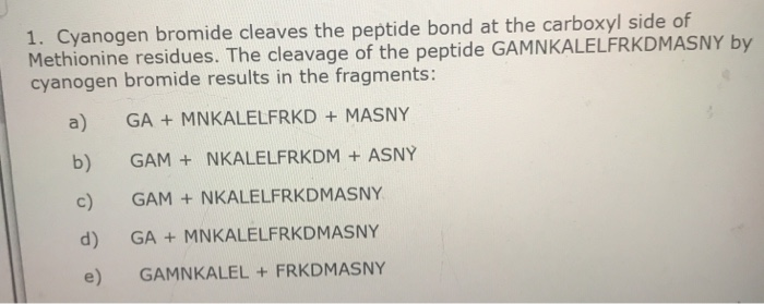 Solved 1. Cyanogen bromide cleaves the peptide bond at the | Chegg.com