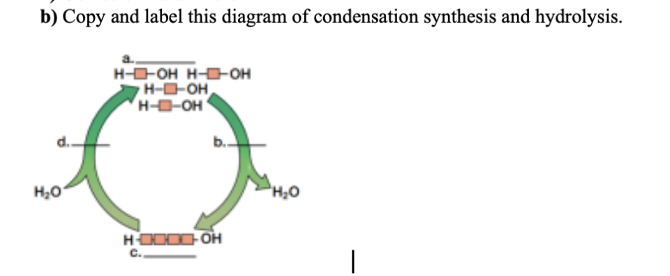 Solved b) Copy and label this diagram of condensation | Chegg.com