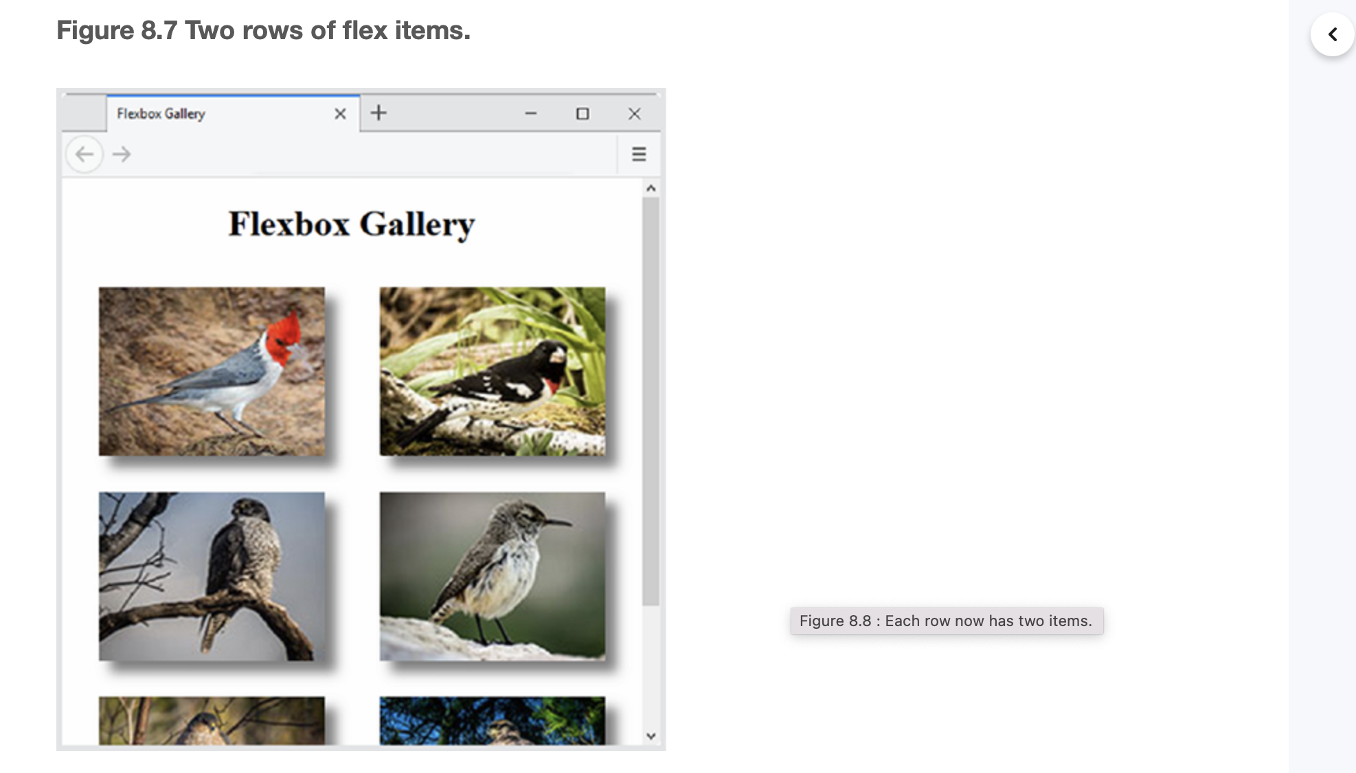 You'll configure an image gallery with flexbox | Chegg.com