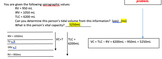 Solved You must show your formula calculations (see sample | Chegg.com