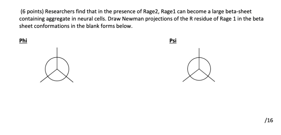 Solved PLease draw the NEWMAN projections using blank forms | Chegg.com Solved PLease draw the NEWMAN projections using blank forms | Chegg.com