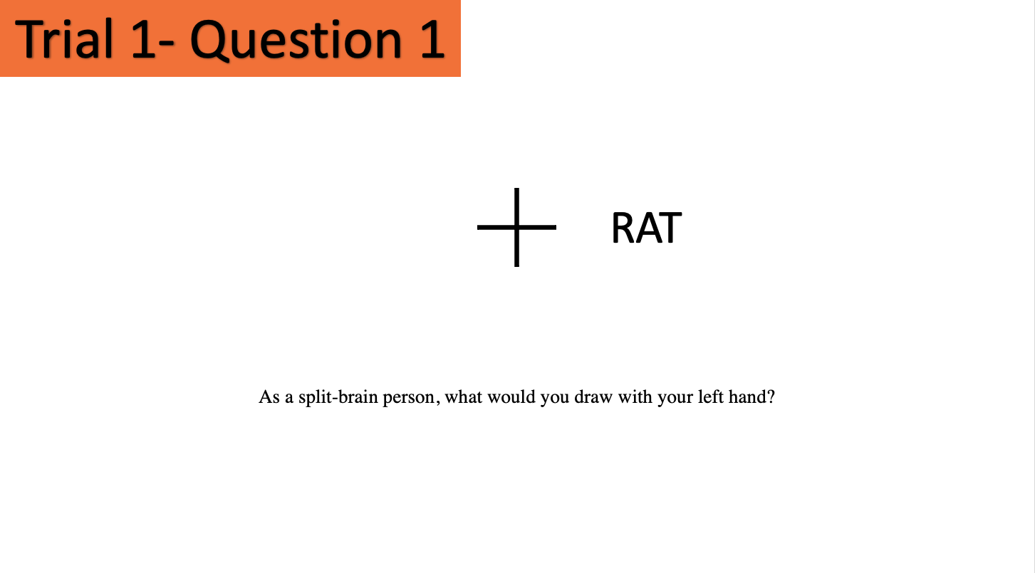 Solved Trial 1- ﻿Question 1RATAs a split-brain person, what | Chegg.com