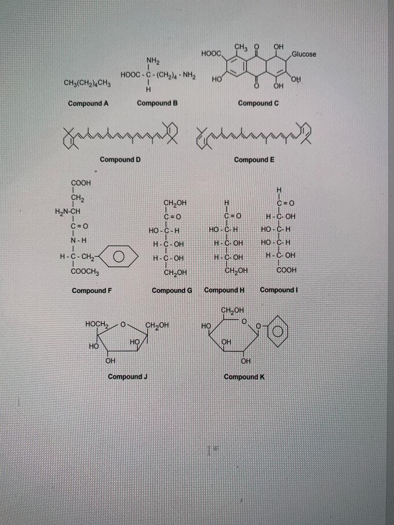 Solved Сн, о OH HOOC Glucose NH2 HOOC - C - (CH2) - NHA HO | Chegg.com