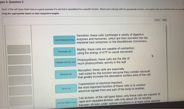 Solved pter 4, Question 2 Each of the cell types listed here | Chegg.com