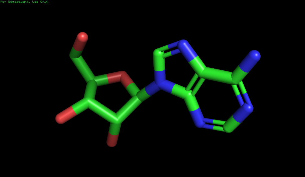 Solved Label the nucleoside structure to indicate the (a) | Chegg.com