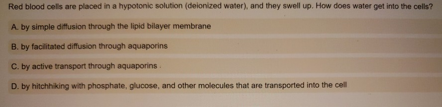 Solved Rank The Types Of Mutations In Order From Least