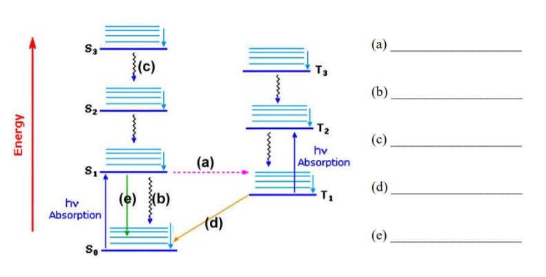 Solved 13. In molecular spectroscopy, a Jablonski diagram is | Chegg.com