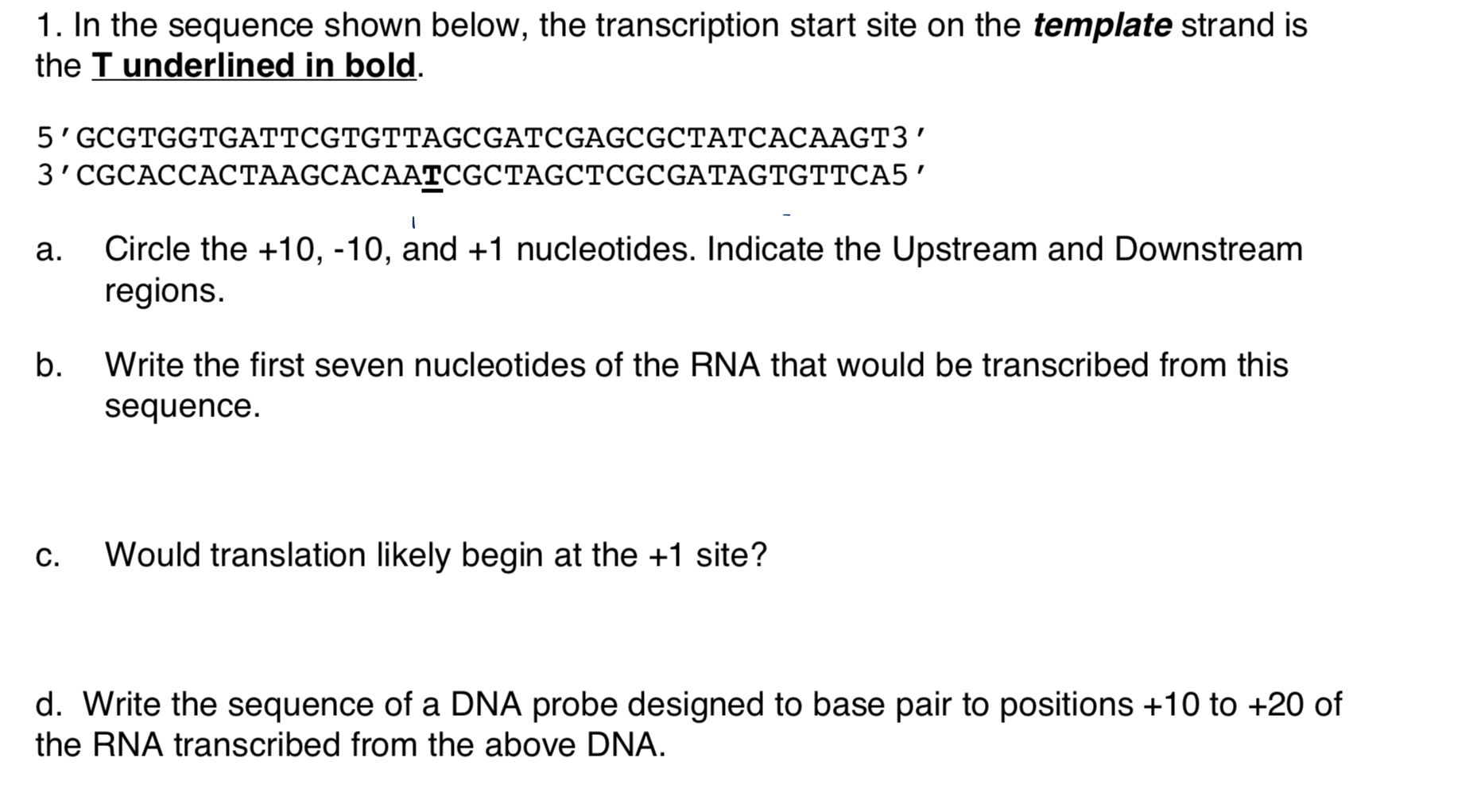 Solved 1. In the sequence shown below, the transcription | Chegg.com