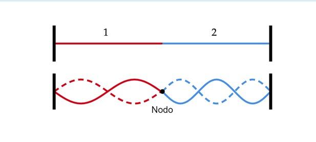 Solved A string composed of two segments of different linear | Chegg.com
