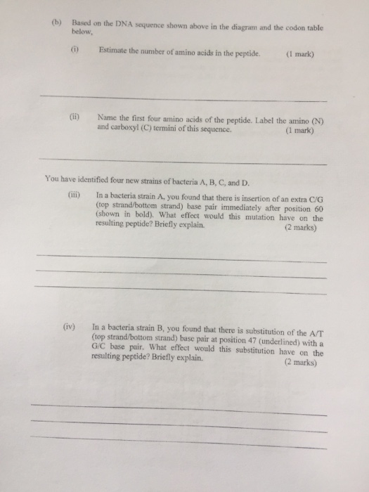 Solved 9. Below is a DNA sequence of part of a hypothetical | Chegg.com