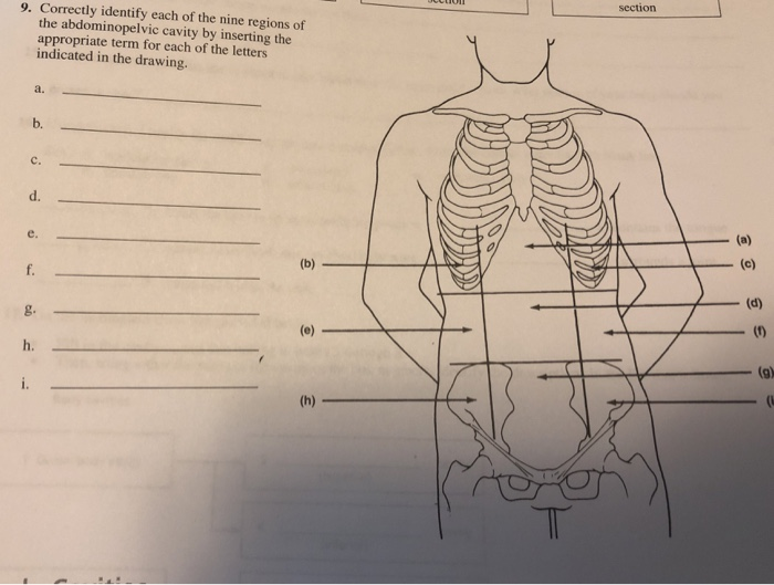 Solved section 9. Correctly identify each of the nine | Chegg.com