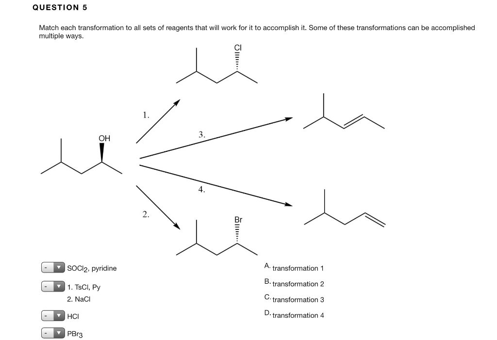 Solved QUESTION 5 Match each transformation to all sets of | Chegg.com
