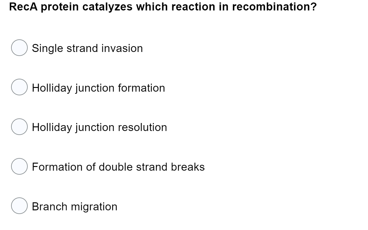 Solved RecA protein catalyzes which reaction in | Chegg.com