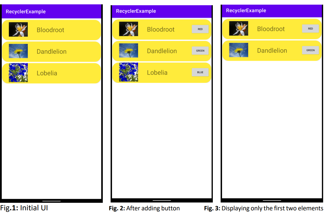 Solved Create application using RecyclerView similar to the | Chegg.com