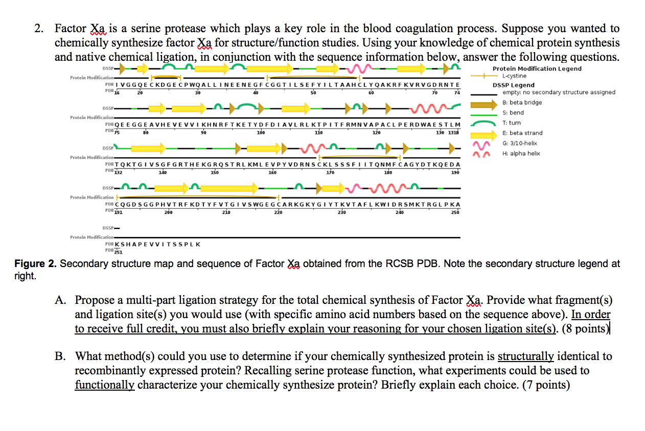 2. PDB 16 Factor Xa is a serine protease which plays | Chegg.com
