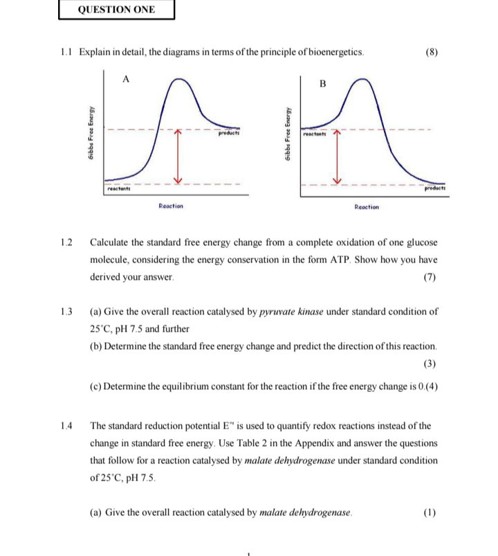 Solved 1.1 Explain in detail, the diagrams in terms of the | Chegg.com