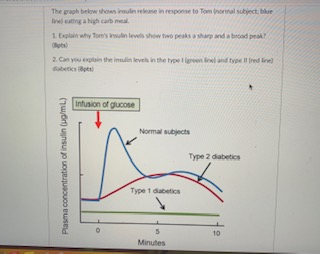 The graph below shows insulin release in response to | Chegg.com