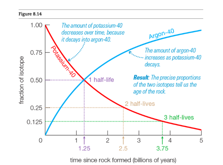 This is a lab to simulate radioactive decay with | Chegg.com