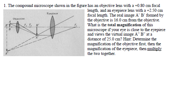 Solved Eyepiece Objective 1. The compound microscope shown | Chegg.com