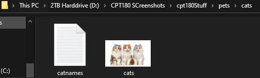 Solved Directions Using the following guidelines, create a | Chegg.com