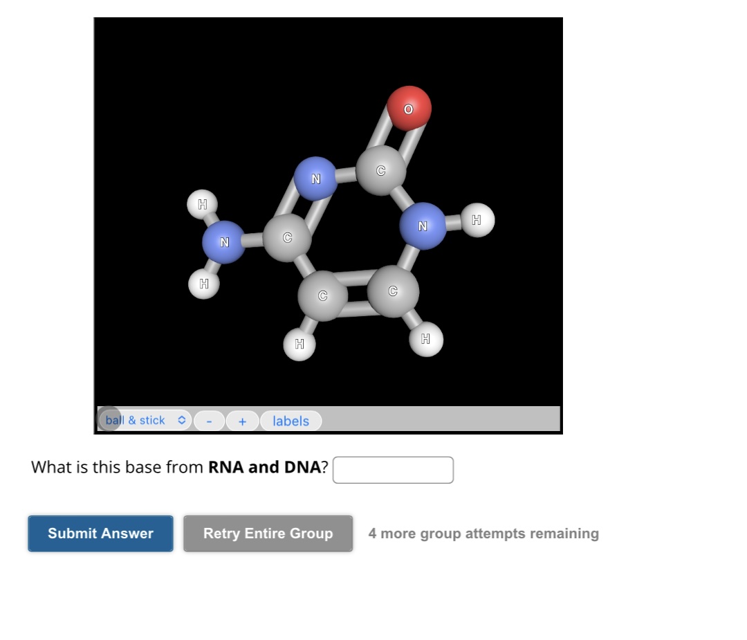 Solved What is this base from RNA and DNA? 4 more group | Chegg.com Solved What is this base from RNA and DNA? 4 more group | Chegg.com