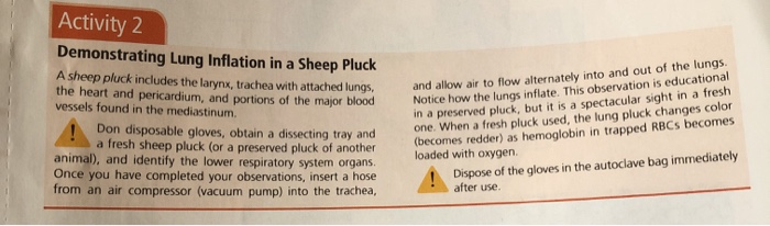 Activity 2 Demonstrating Lung Inflation ina Sheep | Chegg.com