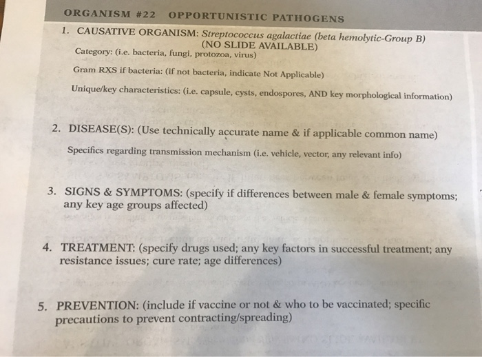 Solved ORGANISM #22 OPPORTUNISTIC PATHOGENS 1. CAUSATIVE | Chegg.com
