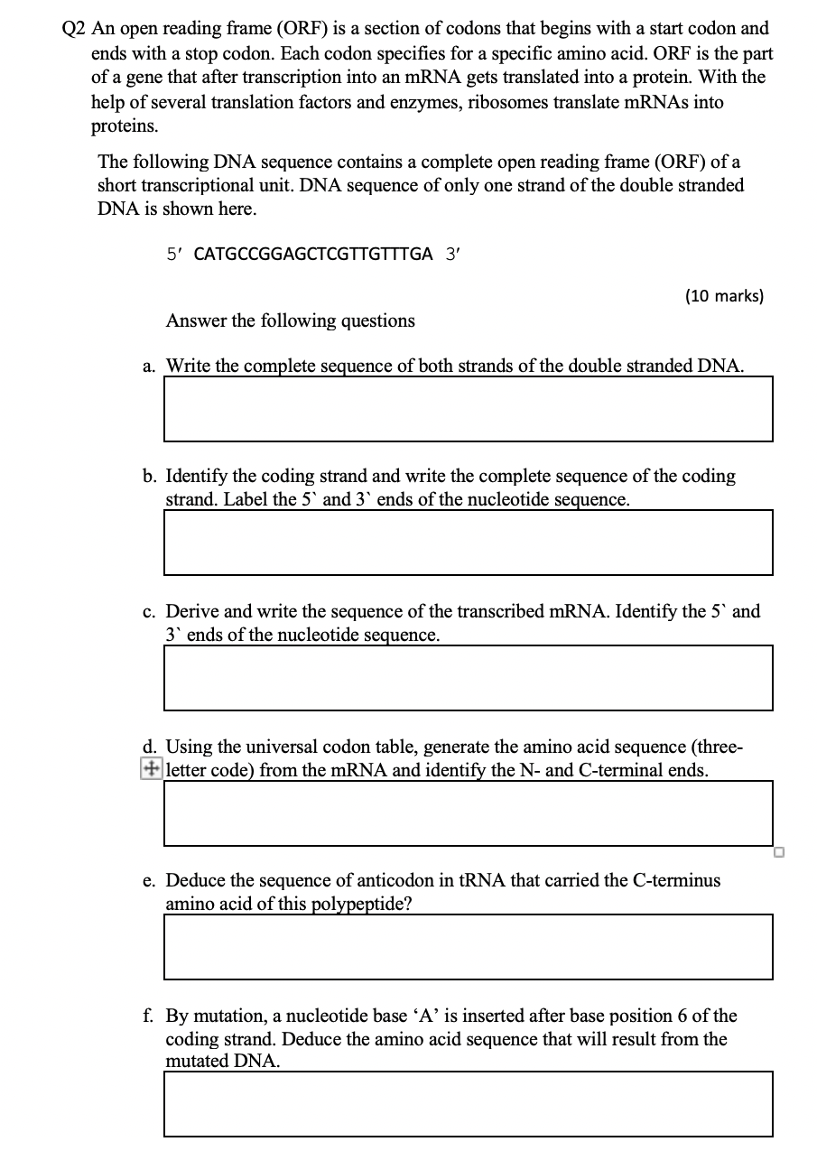 Solved Q2 An open reading frame (ORF) is a section of codons | Chegg.com