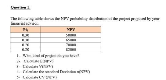 Solved The following table shows the NPV probability | Chegg.com