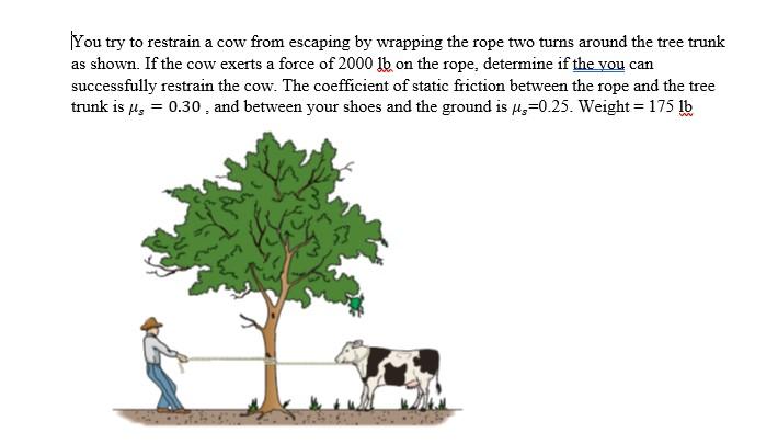 Solved You try to restrain a cow from escaping by wrapping | Chegg.com