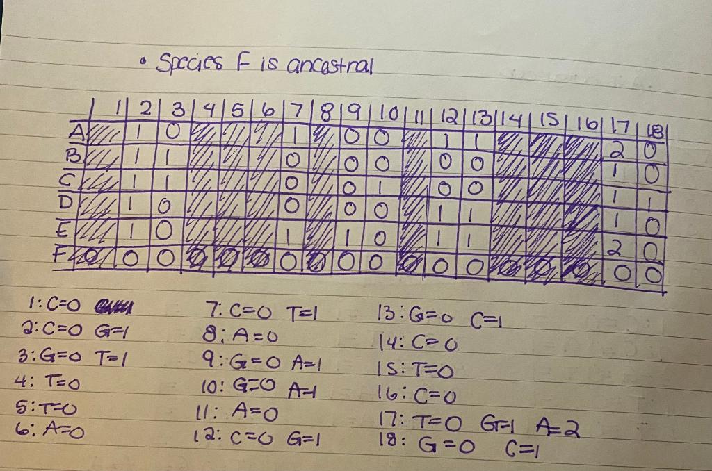 Here are the first eighteen positions of a DNA | Chegg.com