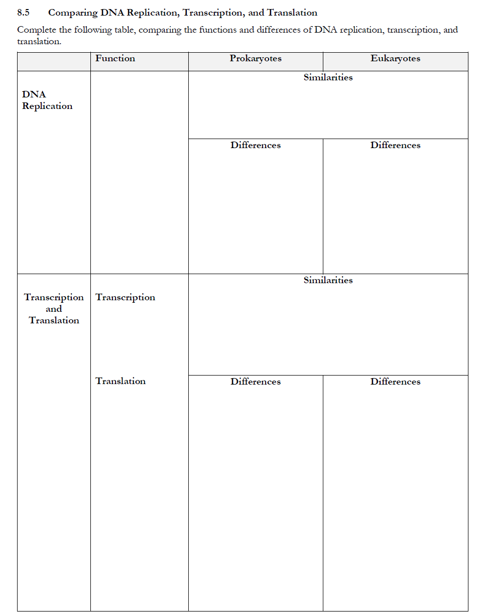 Comparing Dna Replication Transcription And Translation Worksheet