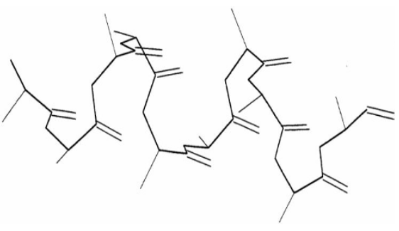 Solved Label the atoms in order that make up the backbone | Chegg.com