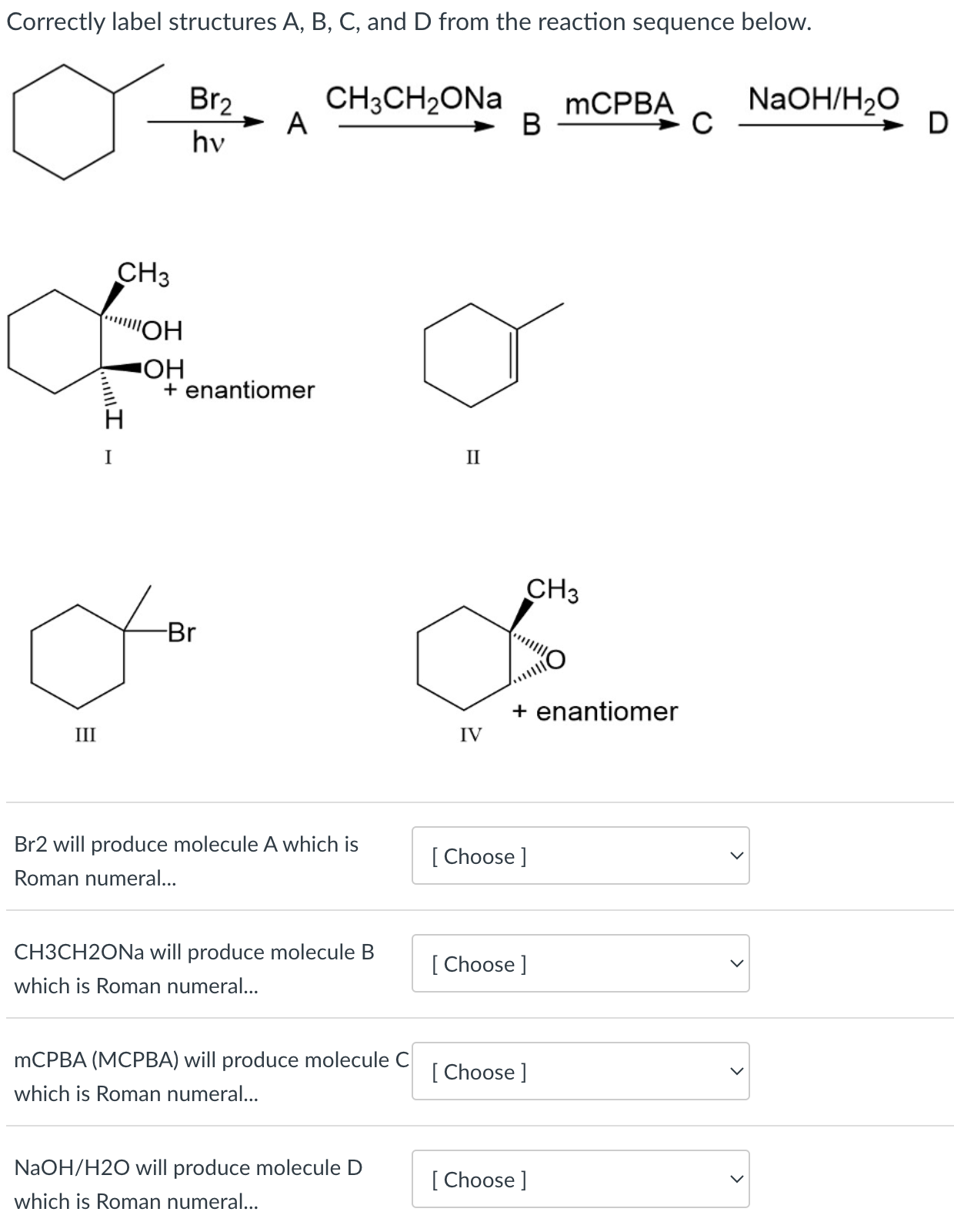 Solved Correctly label structures A, ﻿B, ﻿C, ﻿and D from the | Chegg.com